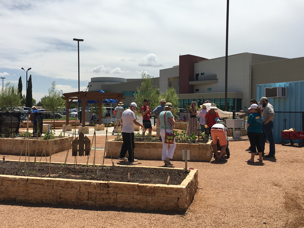 Community Garden | Midland Health